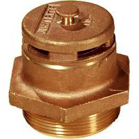 Sikkerhedsventil til stående tønder, 2 tommer FM